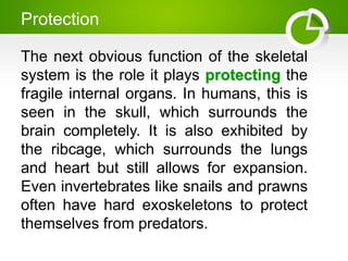 Skeletal system | PPT
