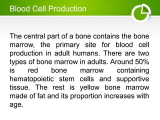 Skeletal system | PPT | Bone and Joint Conditions | Diseases and Conditions