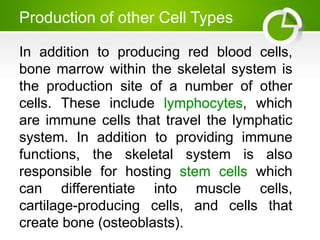 Skeletal system | PPT