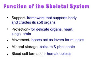 Skeletal system | PPTX