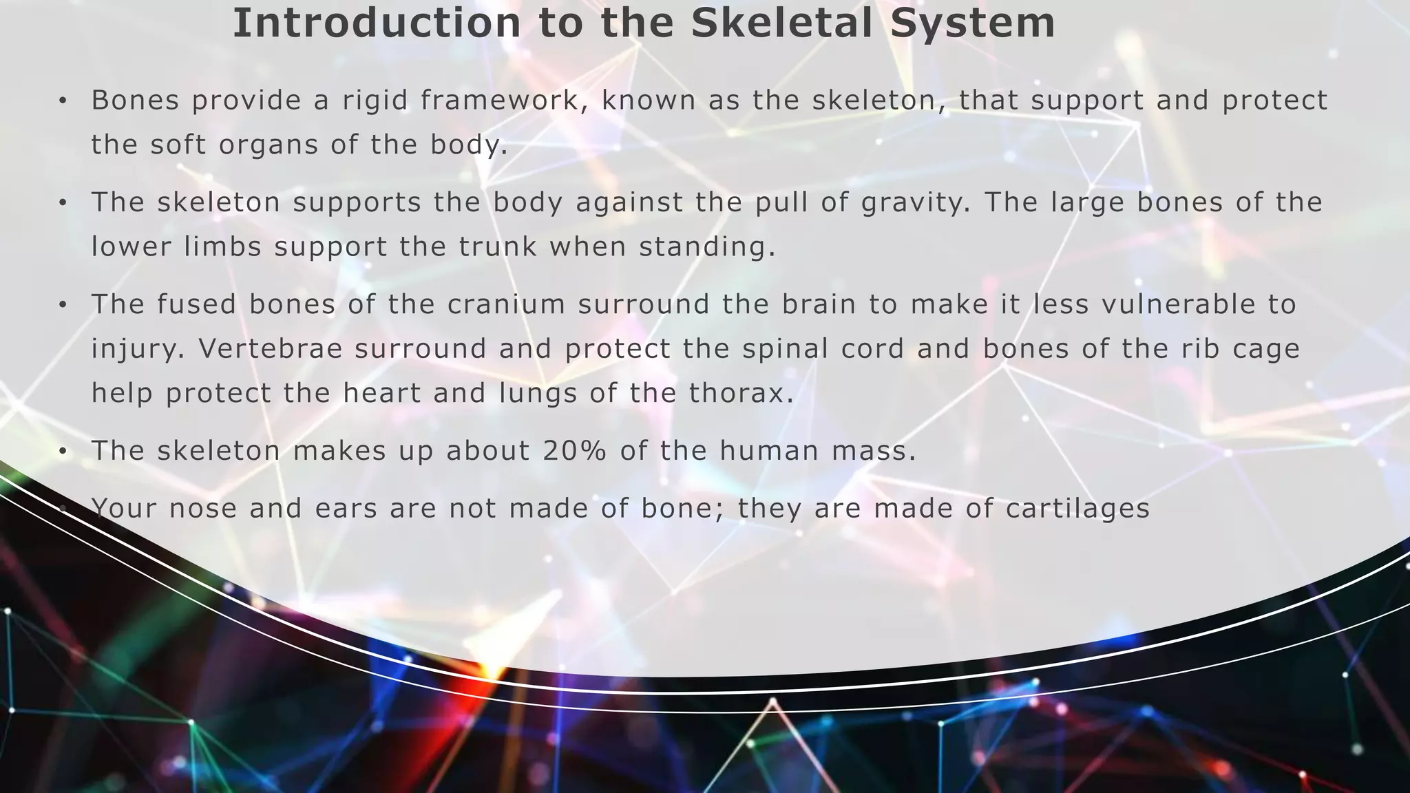 Skeletal system | PPT