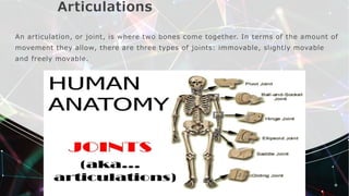 Skeletal system | PPT
