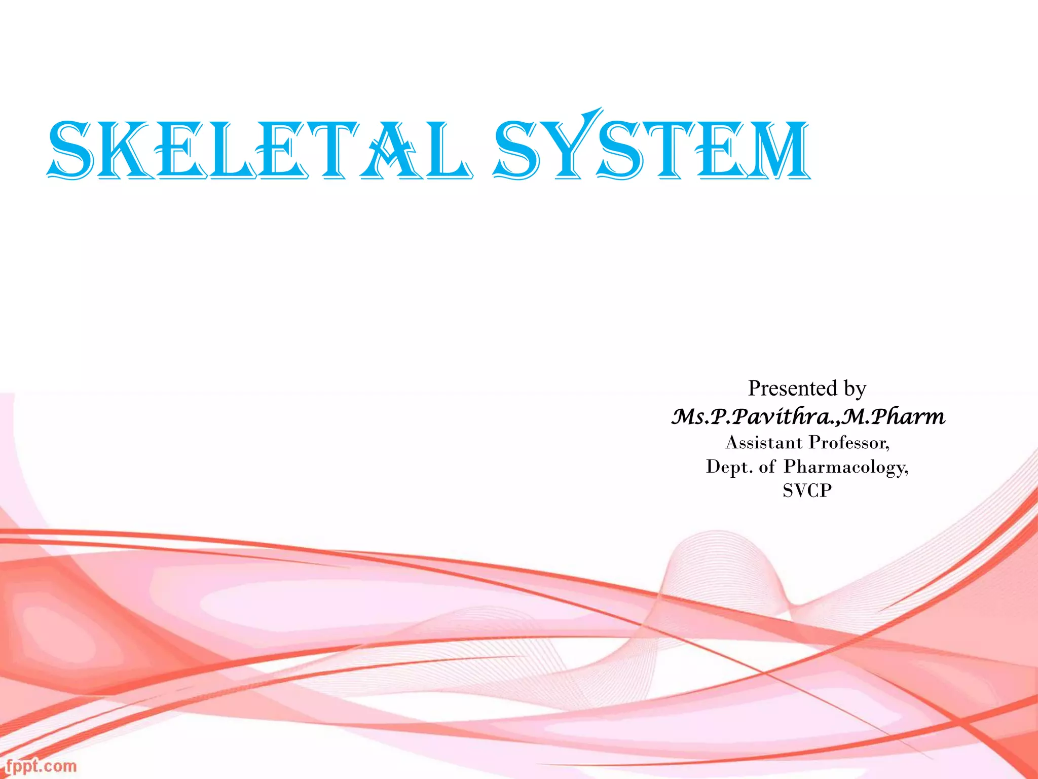 Skeletal system | PPT