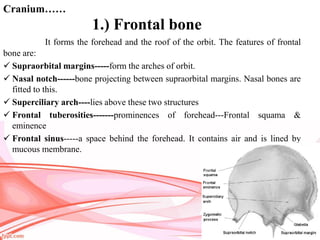 Skeletal system | PDF
