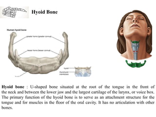 Skeletal system | PPT