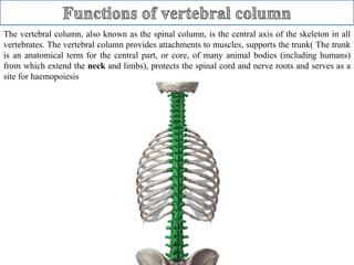 Skeletal system | PDF