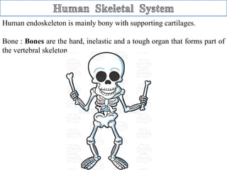 Skeletal system | PPT