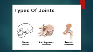 Skeletal system anatomy physiology and yogic corelation | PDF