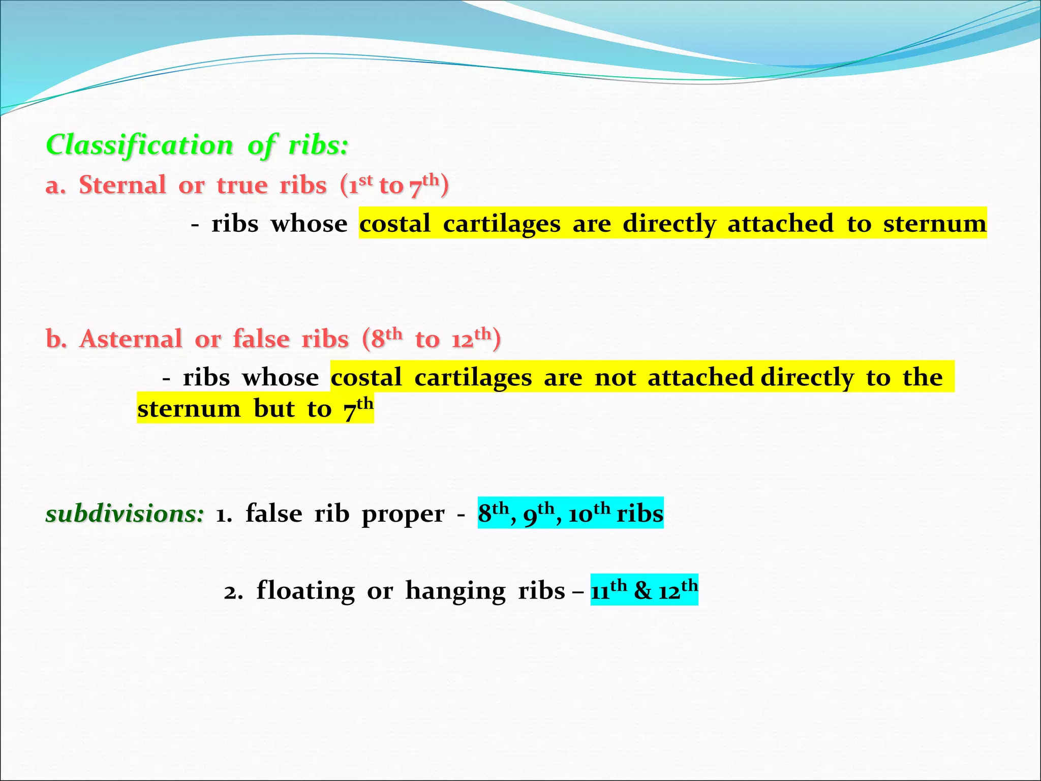 SKELETAL SYSTEM ANATOMY | PDF
