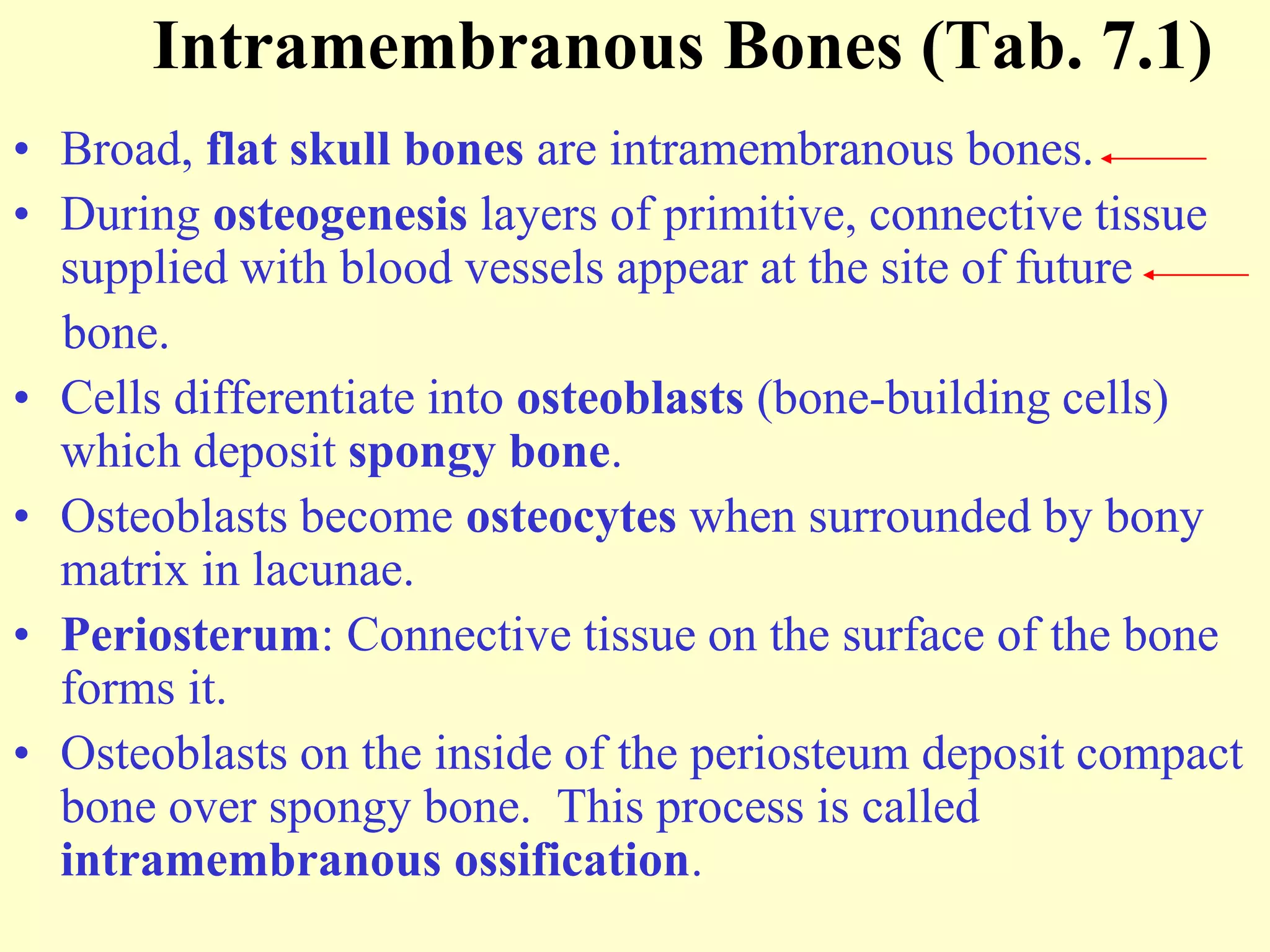 Skeletal System.ppt