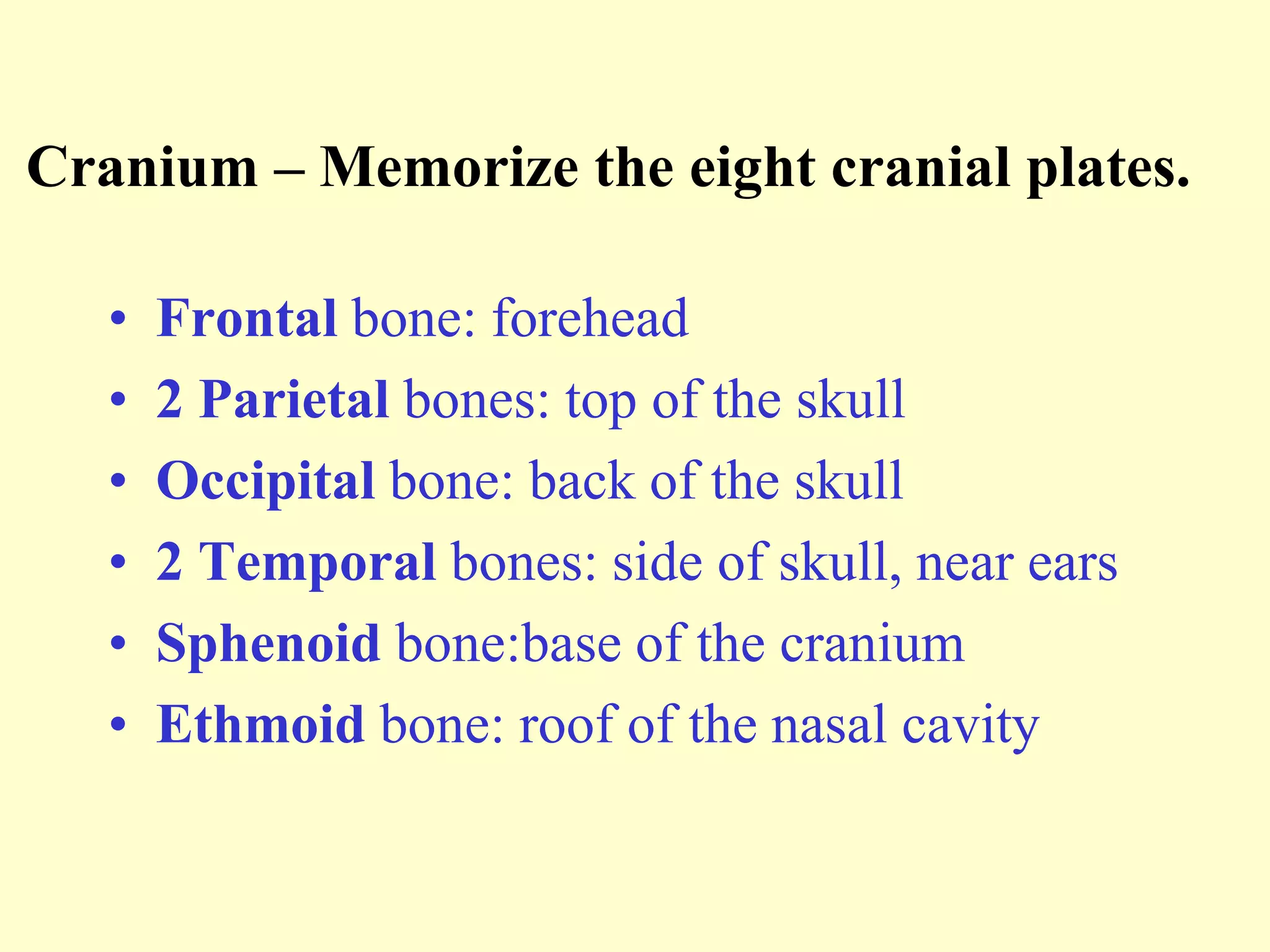 Skeletal System.ppt