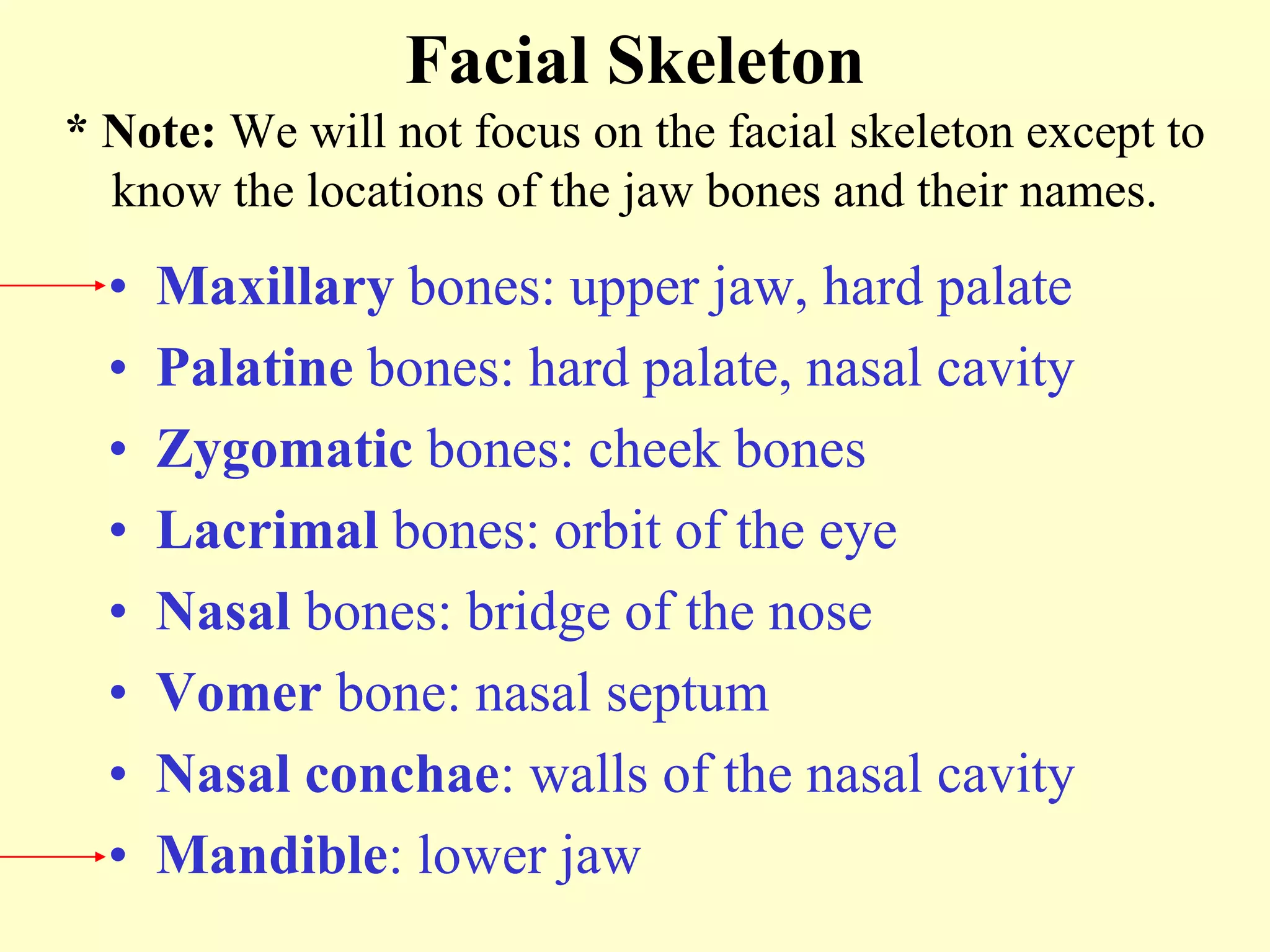 Skeletal System.ppt