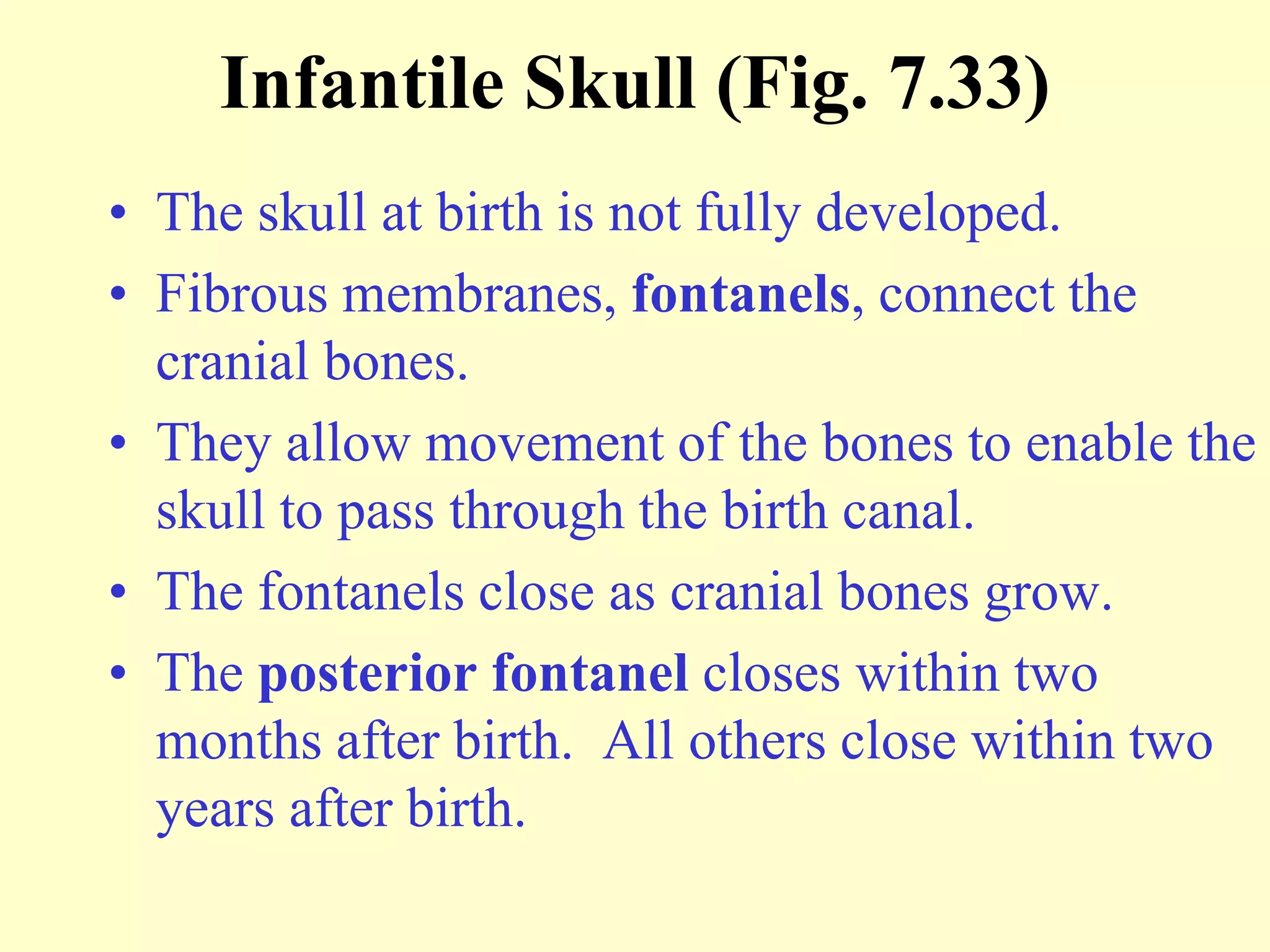Skeletal System.ppt