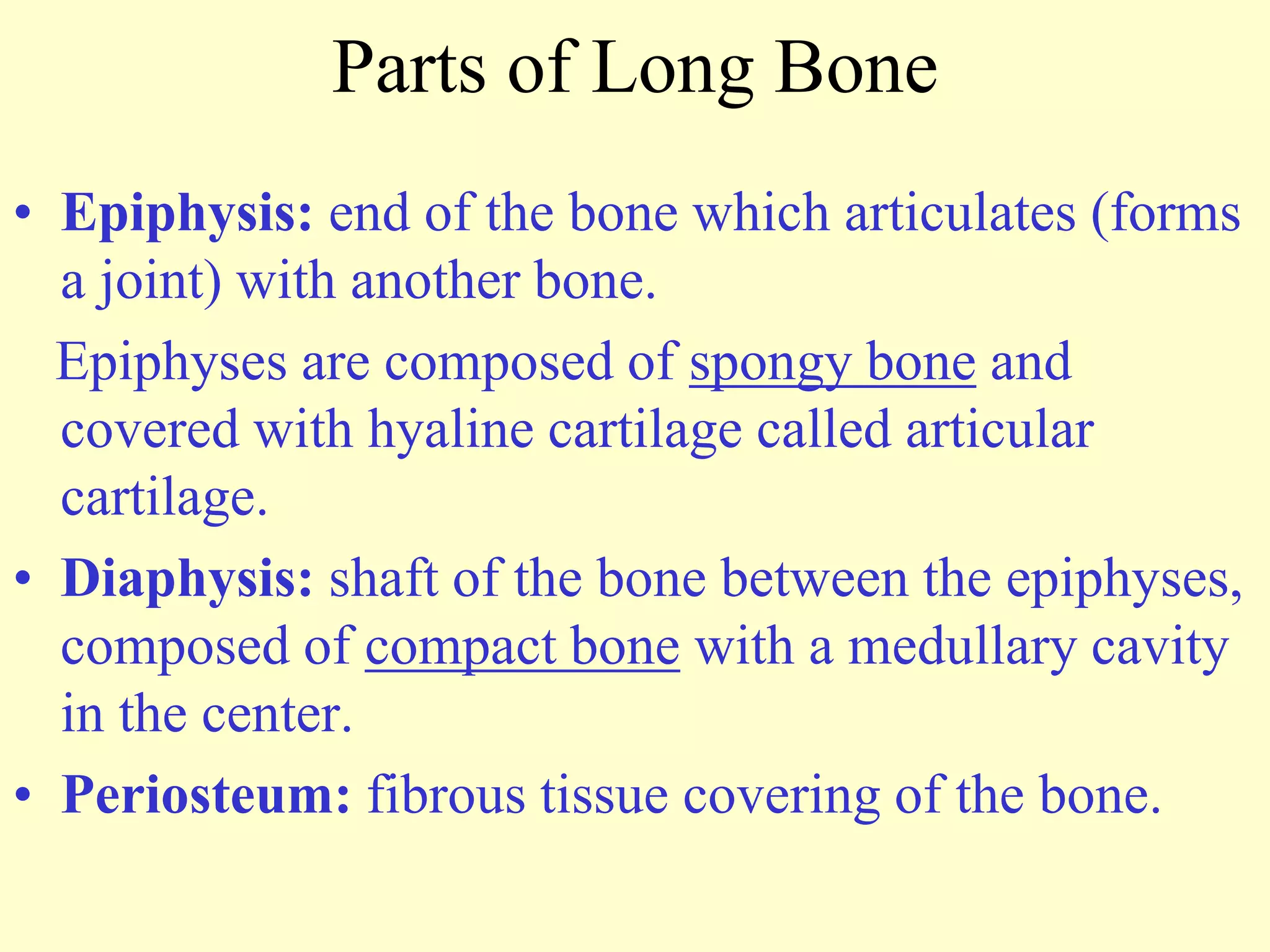 Skeletal System.ppt