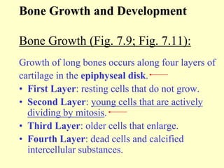 Skeletal System.ppt