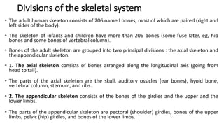Skeletal System.pdf