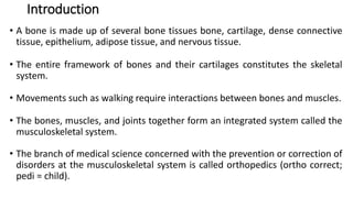 Skeletal System.pdf