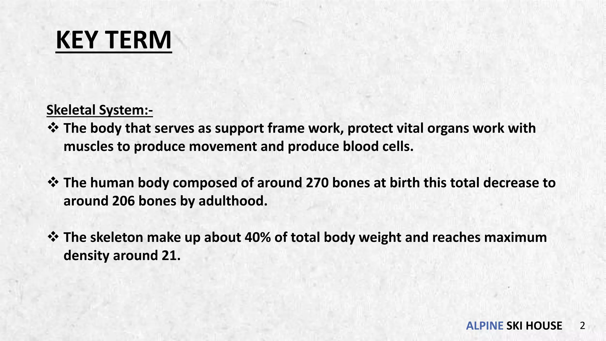 skeletal system.pptx