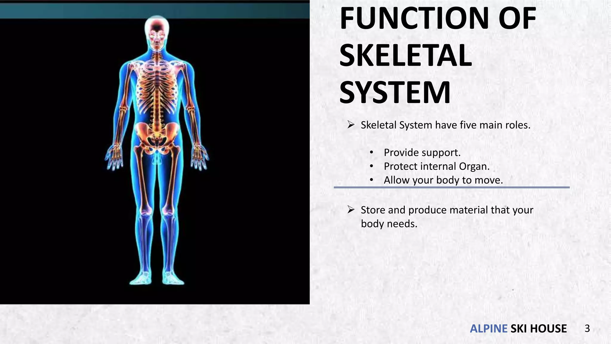 skeletal system.pptx
