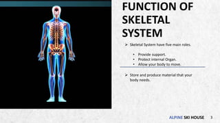 skeletal system.pptx
