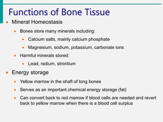Skeletal_System.ppt