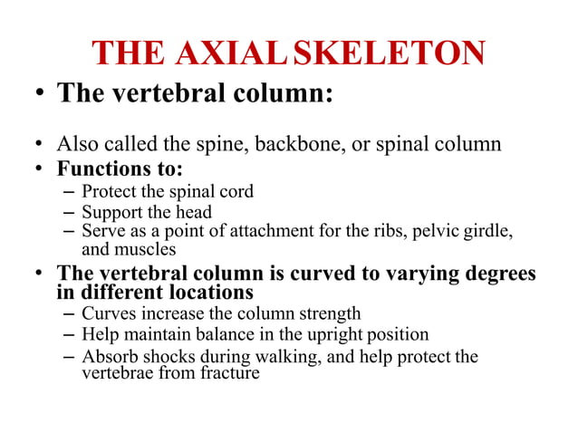 Skeletal system.pptx