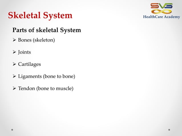 Skeletal System.pptx