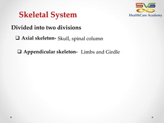 Skeletal System.pptx