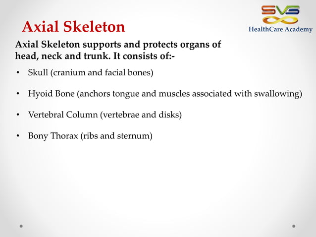 Skeletal System.pptx