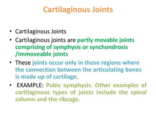Skeletal System.pptx