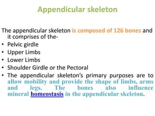 Skeletal System.pptx