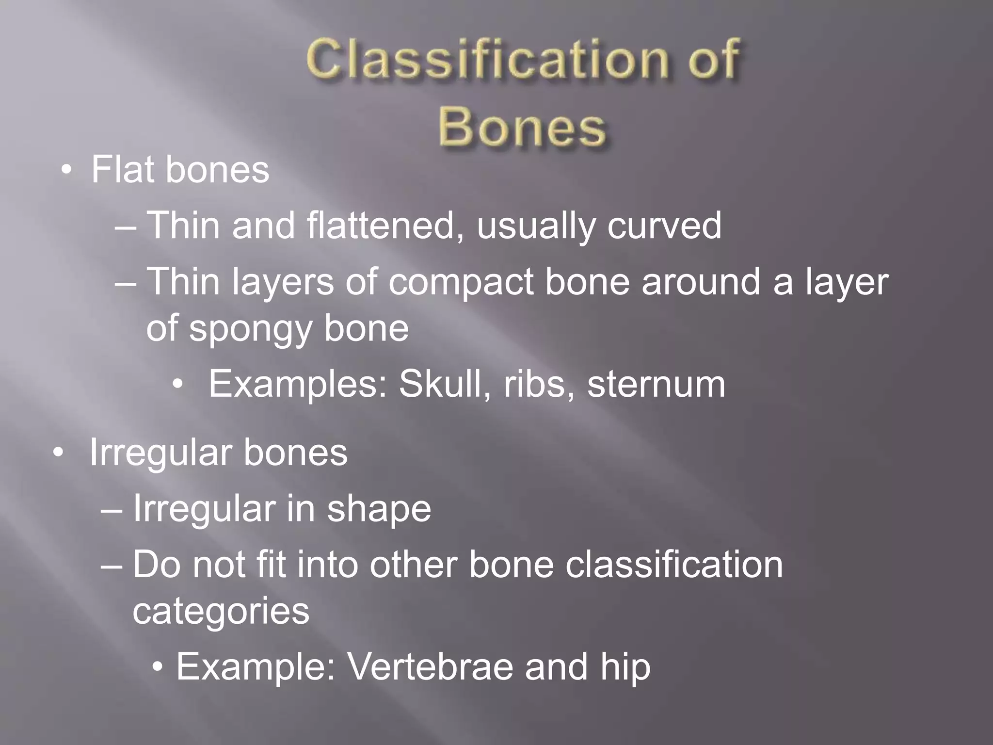 Skeletal System.pptx
