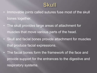 Skeletal System.pptx