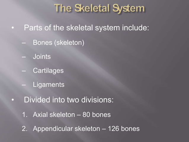 Skeletal System.pptx