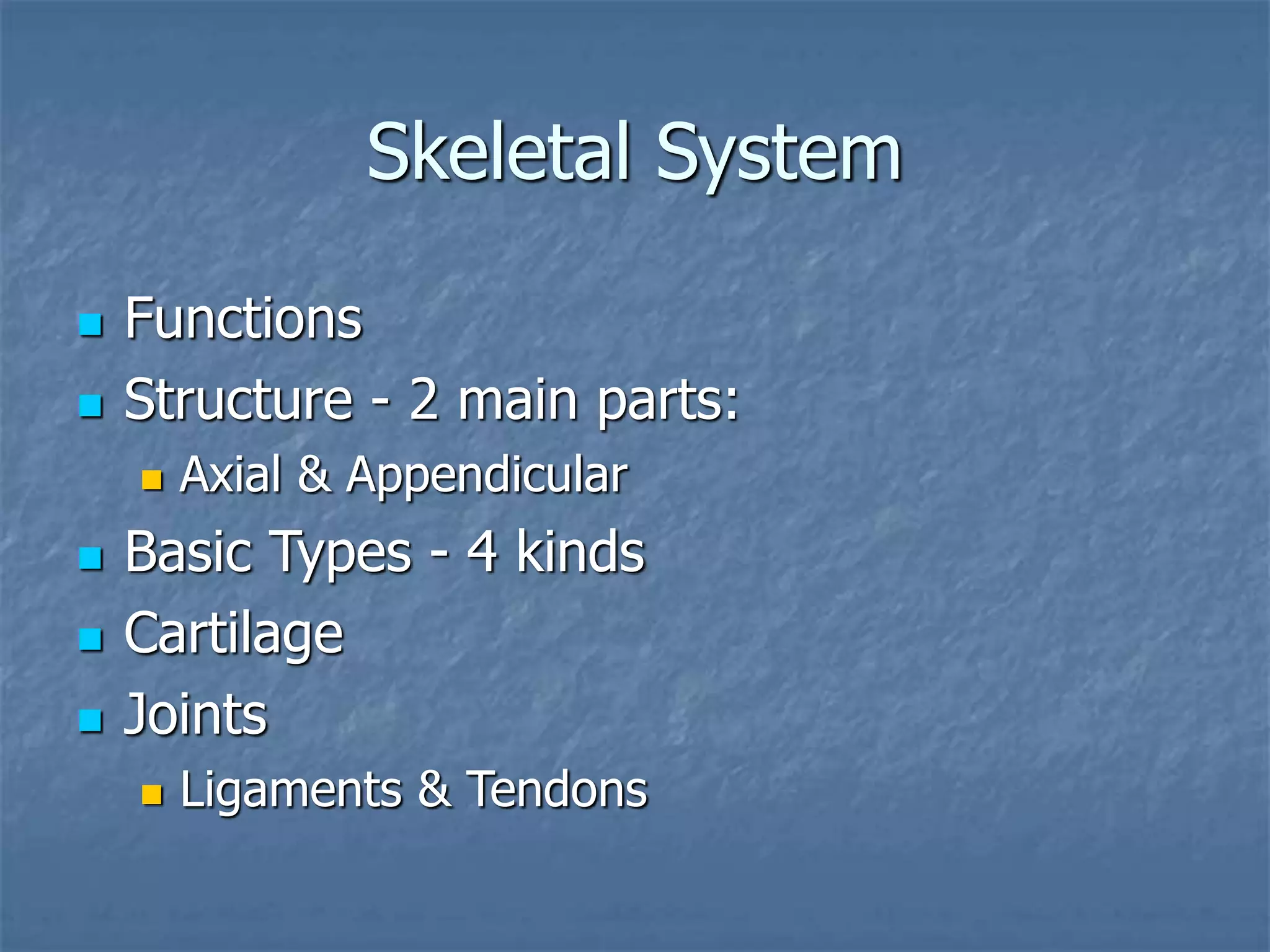 Skeletal System.pptx