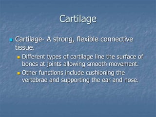 Skeletal System.pptx