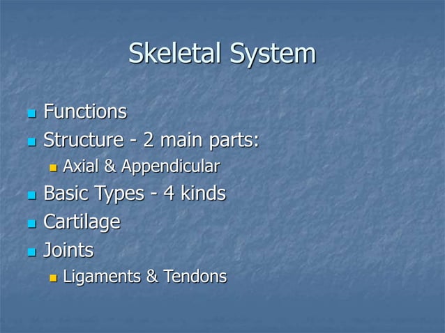 Skeletal System.pptx