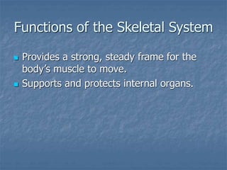 Skeletal System.pptx