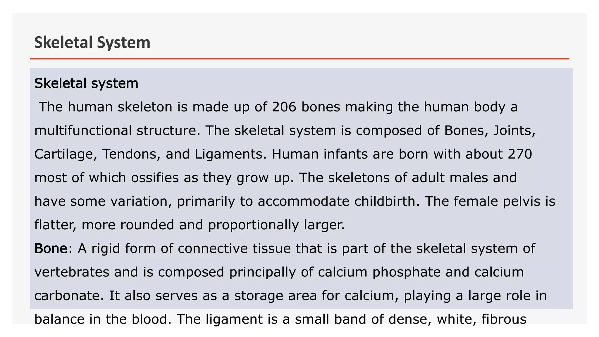 Skeletal System.pptx