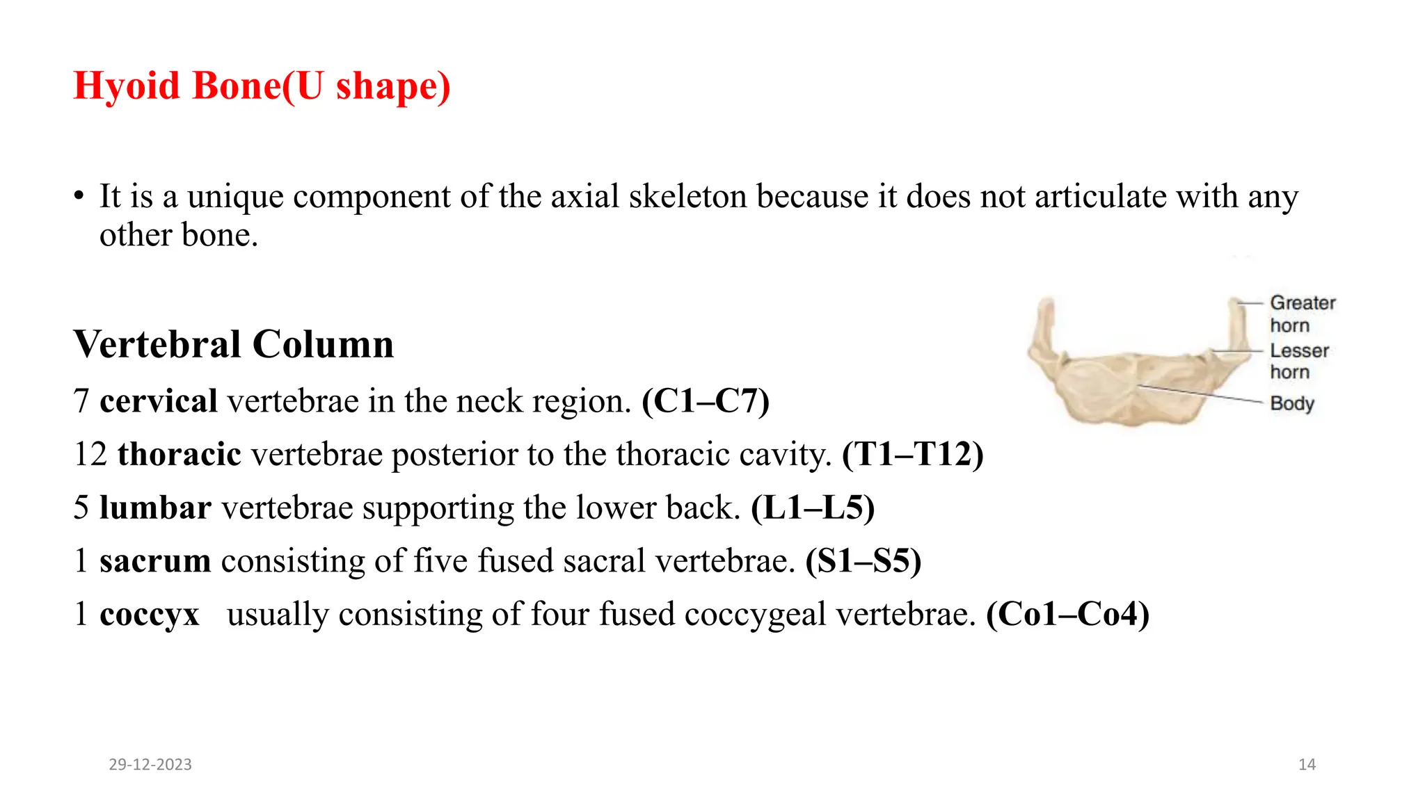 skeletal system | PPTX