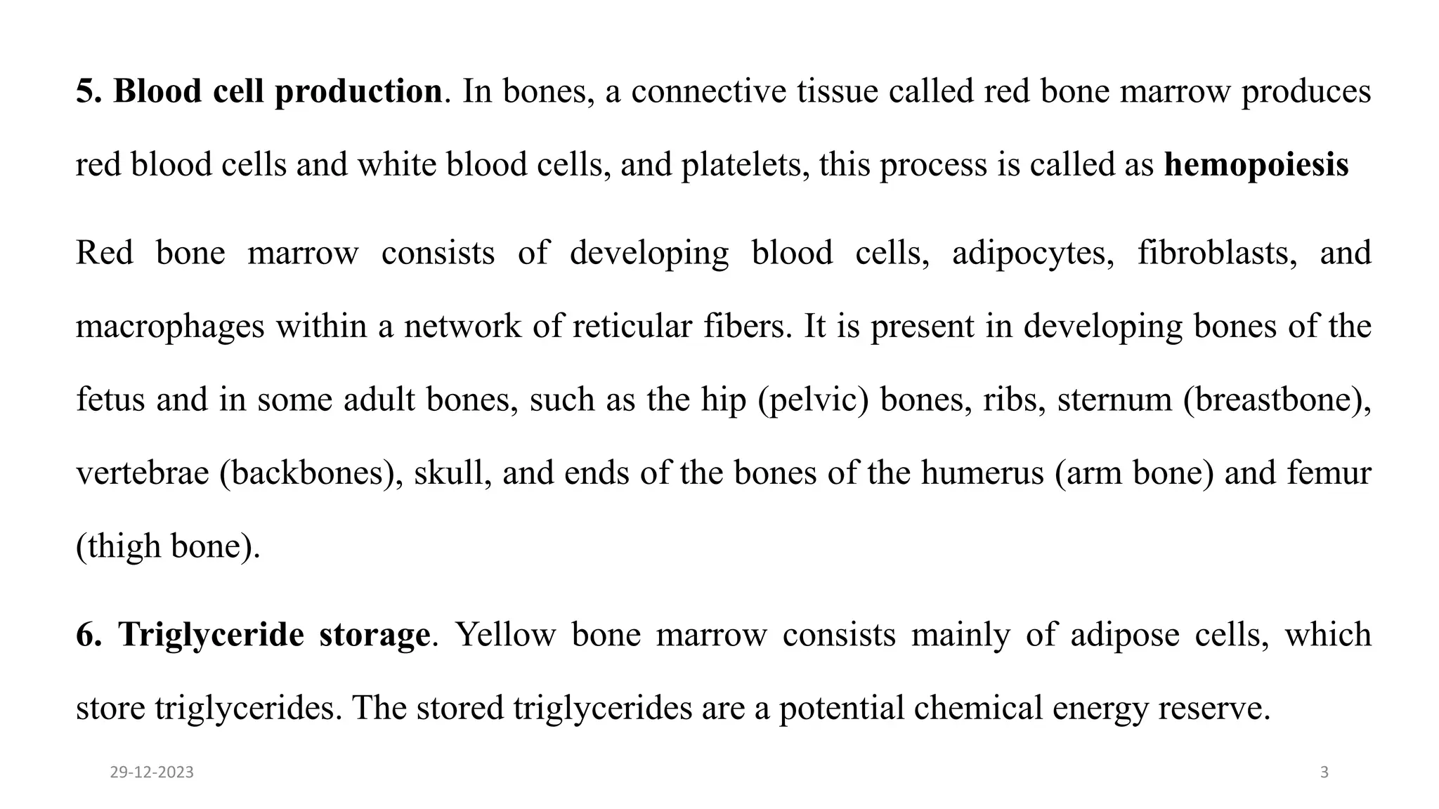 skeletal system | PPTX