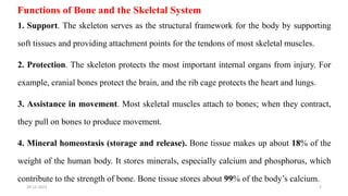 skeletal system | PPTX