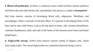 skeletal system | PPTX