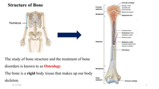 skeletal system | PPTX