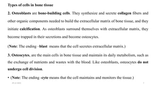skeletal system | PPTX