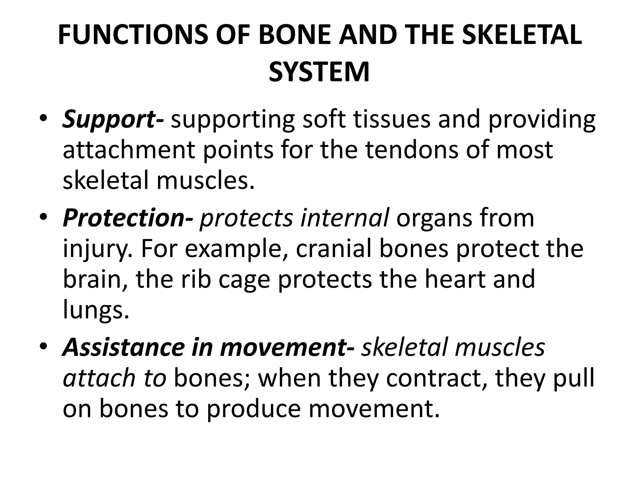 Skeletal System and division of axial and appendicular | PPTX