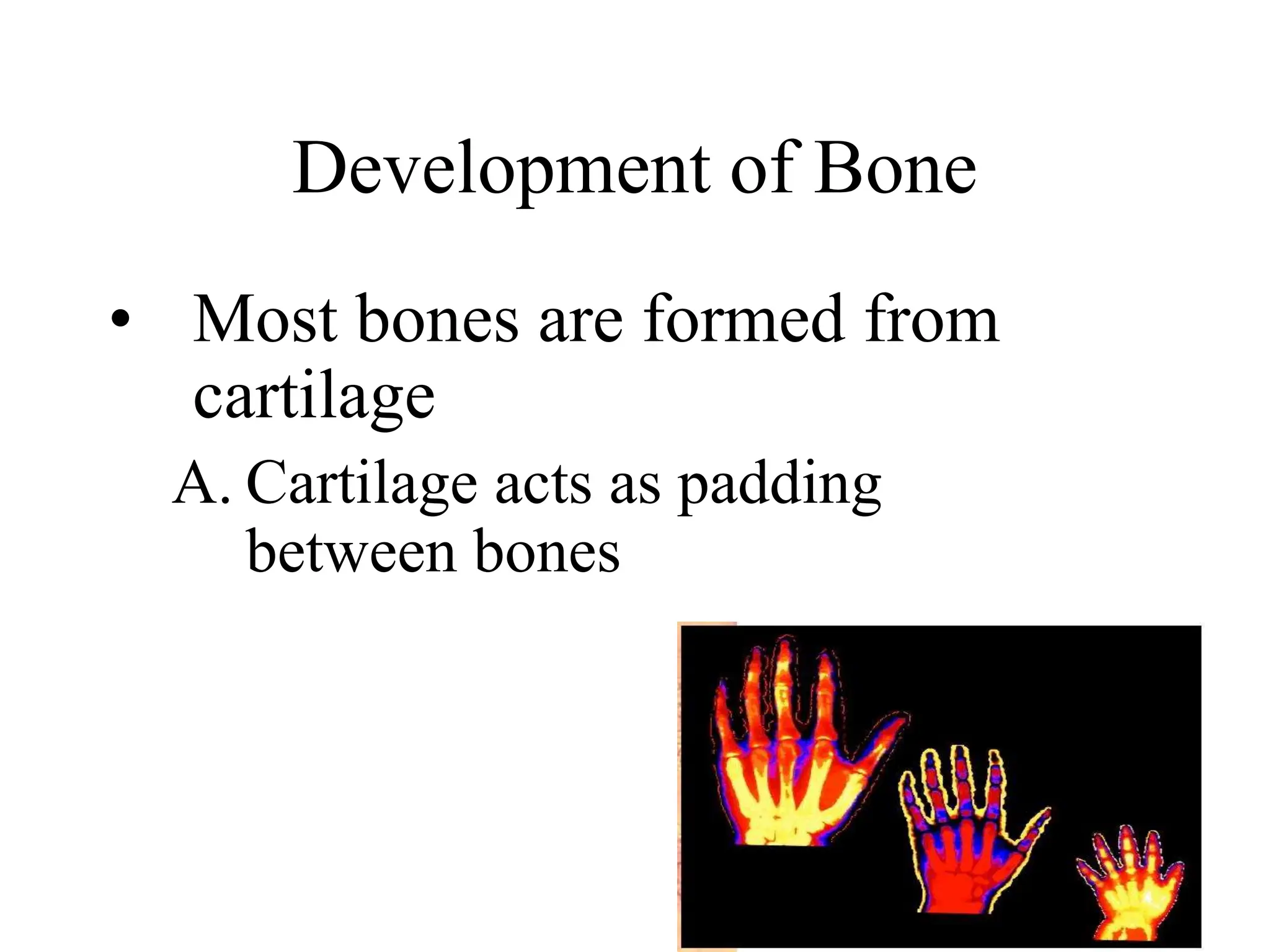 class 11 biology locomotion and movement | PPT