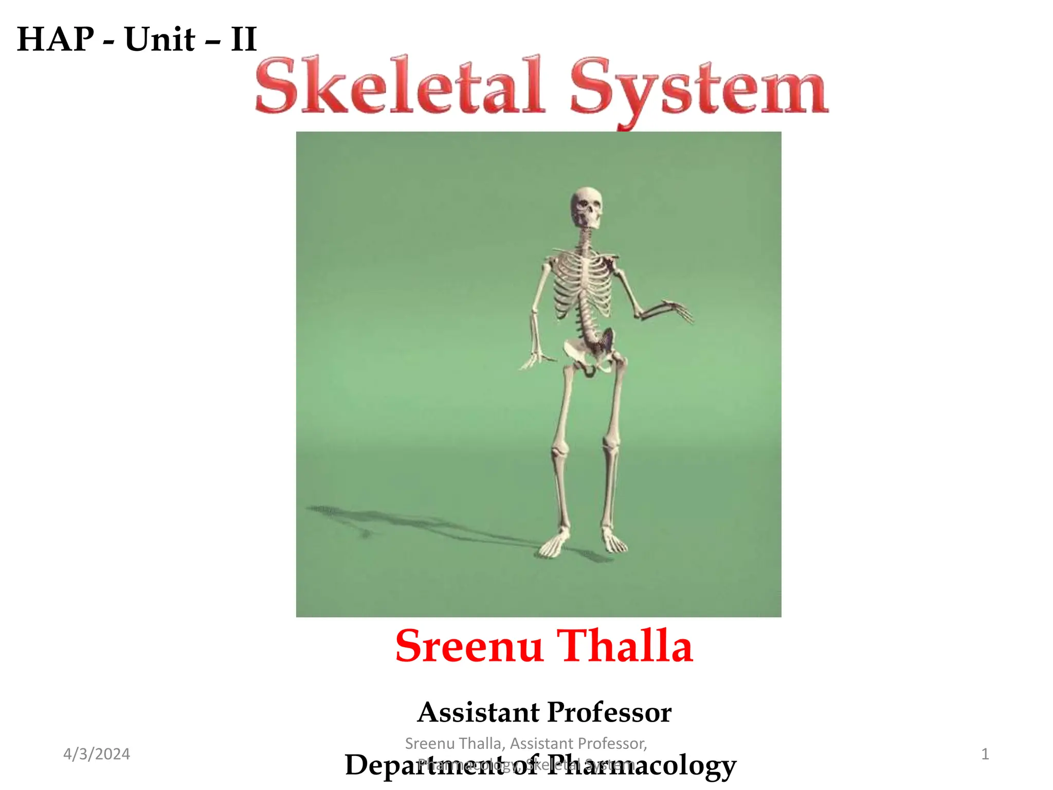 Skeletal System and its divisions, bones | PPTX