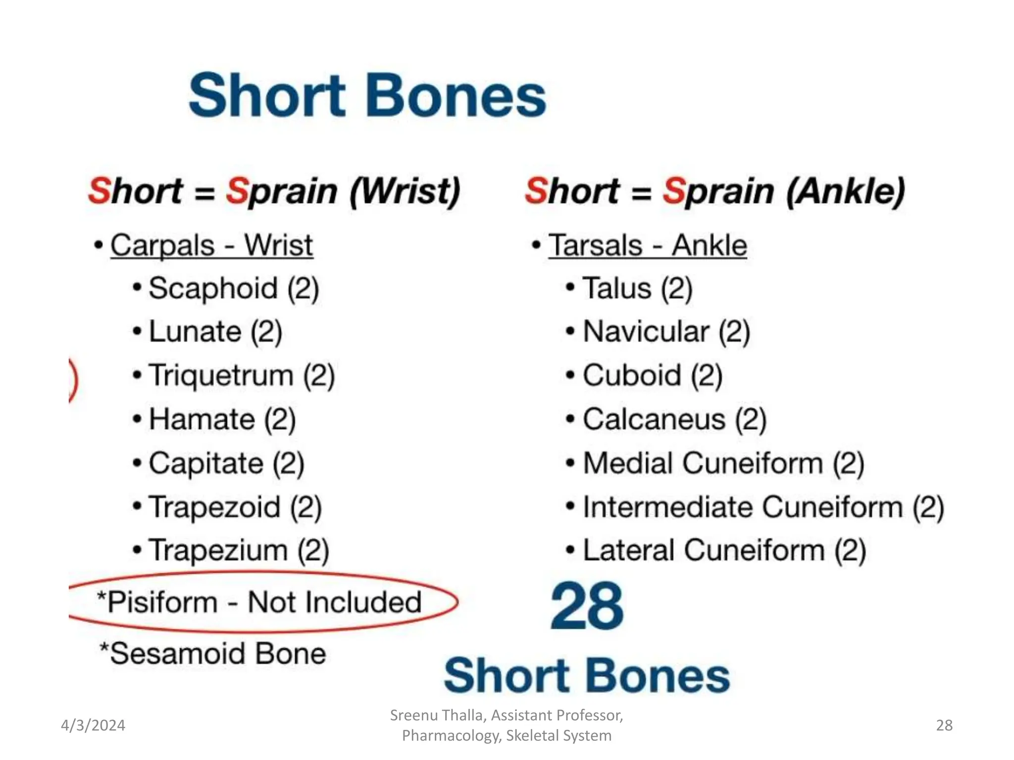 Skeletal System and its divisions, bones | PPT