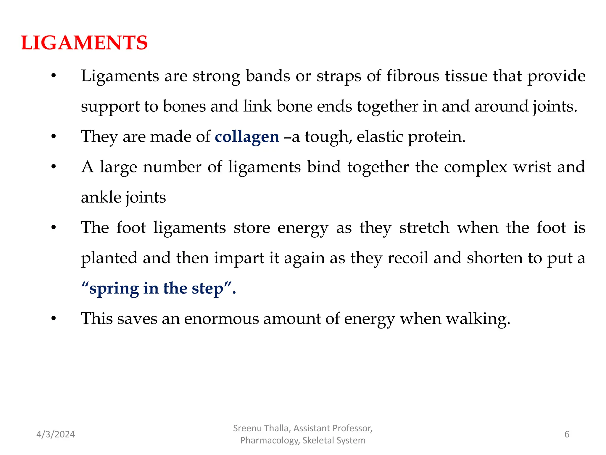Skeletal System and its divisions, bones | PPTX